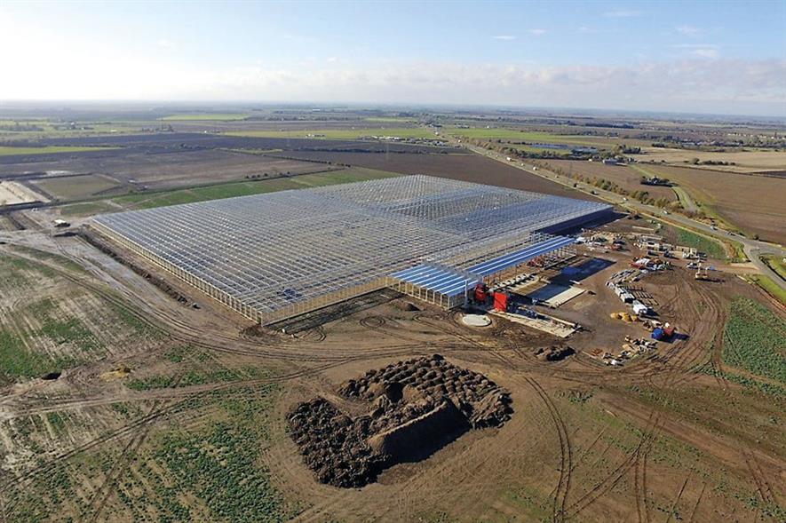 Horticulture Week Business Award - Protected Ornamentals Grower of the ...