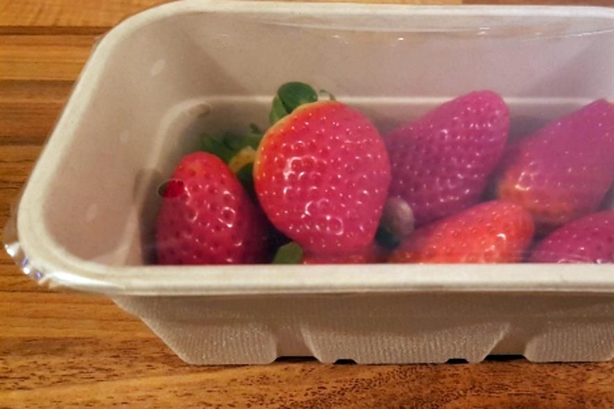 UK suppliers develop biodegradable alternative to the plastic punnet ...