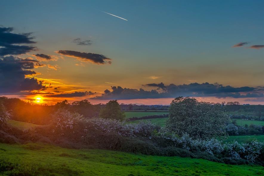 Defra increases Natural England funding by nearly 50% | Horticulture Week