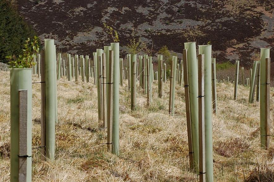 Forestry Commission stresses need for responsible use of plastic tree ...