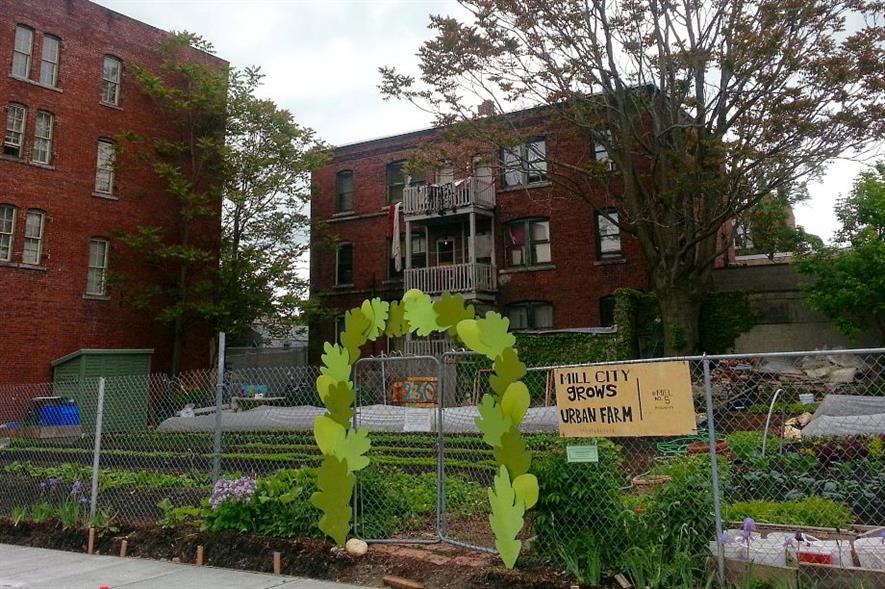 Study to develop plan to transform UK into urban farming "hotspot ...