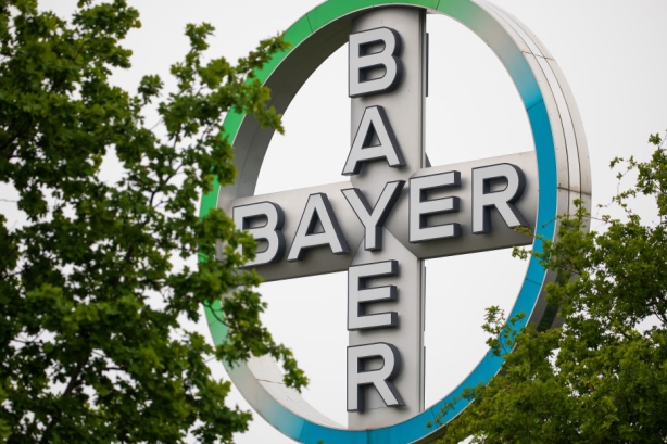 How Bayer is helping journalists 'write the best damn stories they can ...