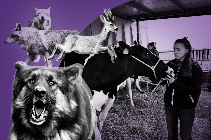 ENDS Europe | News and analysis