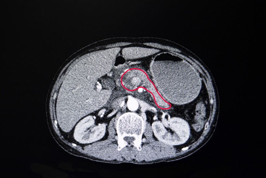 Medical education resources and CPD for GPs | GPonline