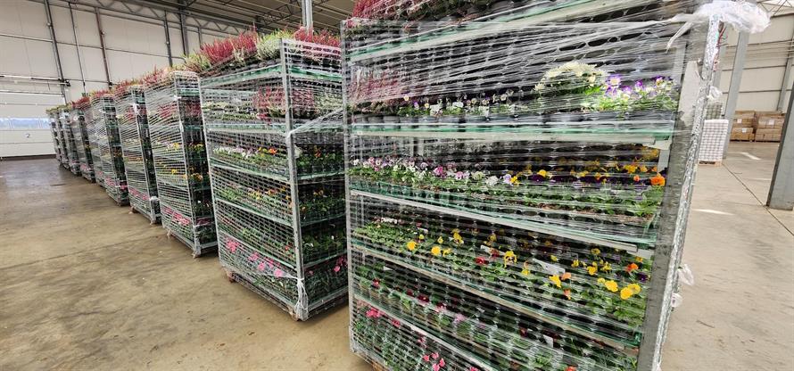 The Four Oaks Trade Show | Horticulture Week