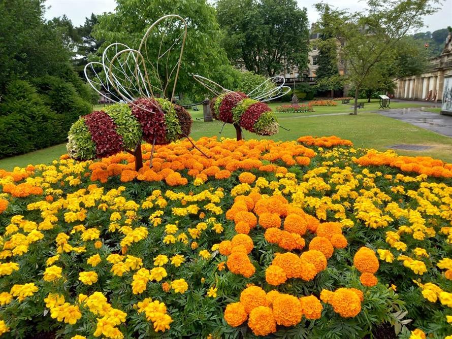 HortWeek | Latest horticulture industry news and jobs