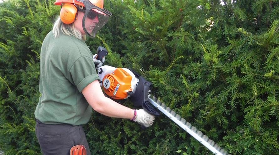 Introduction to hedge cutting and shrub pruning