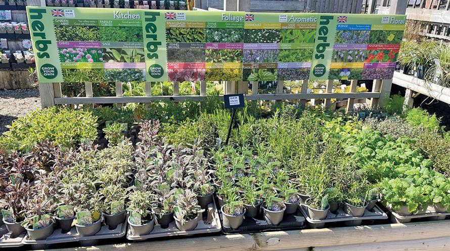 HortWeek | Latest horticulture industry news and jobs