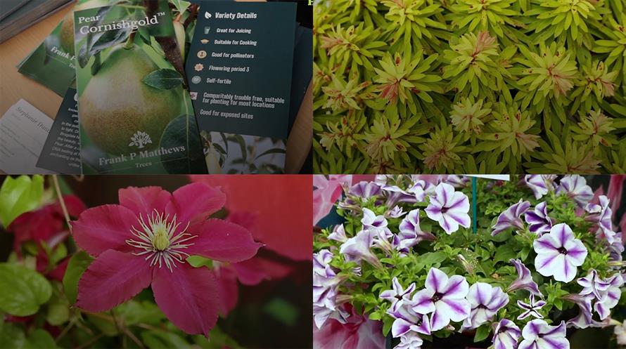 Horticulture industry news | HortWeek