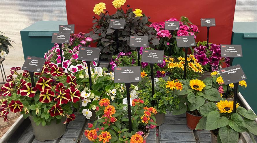 HortWeek | Latest horticulture industry news and jobs