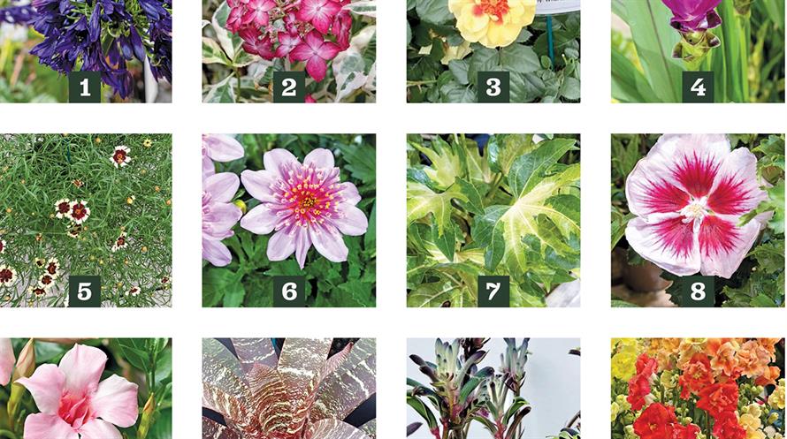 Garden Retail | HortWeek