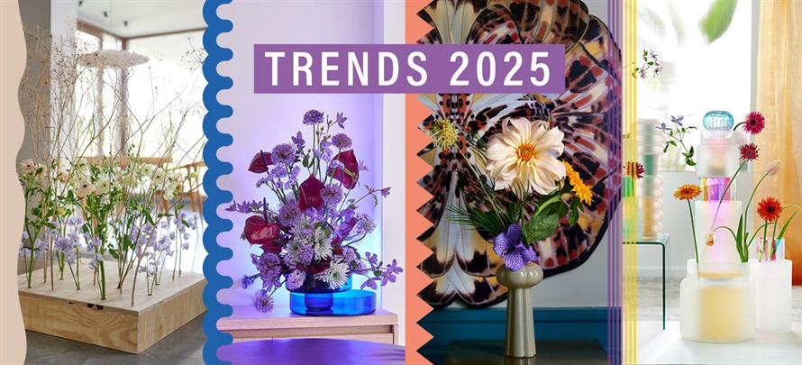 HortWeek | Latest horticulture industry news and jobs