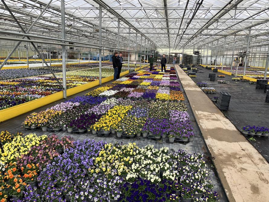 HortWeek | Latest horticulture industry news and jobs