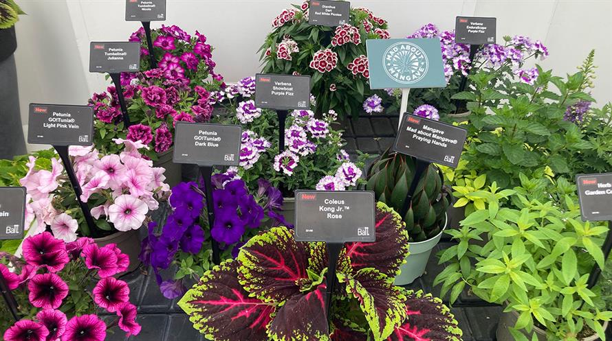 Horticulture industry news | HortWeek