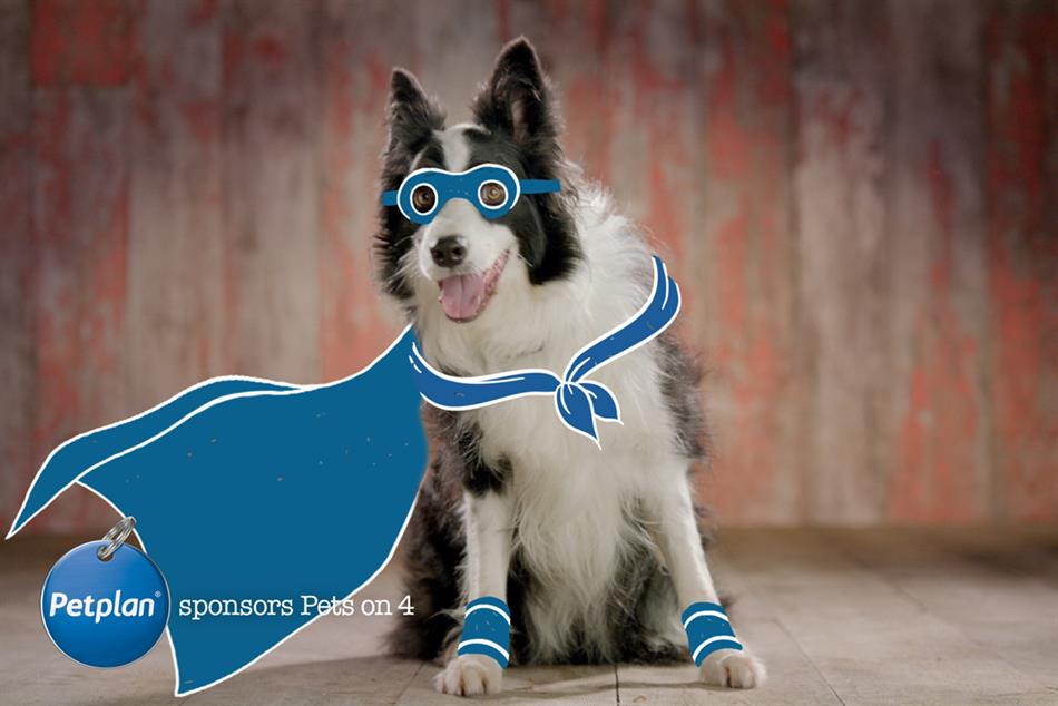 Petplan "Pets on 4" by Now | Campaign US