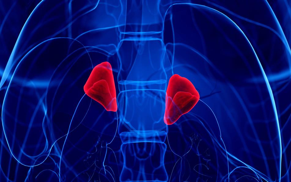 Ensure all steroid-dependent patients given new emergency card ...