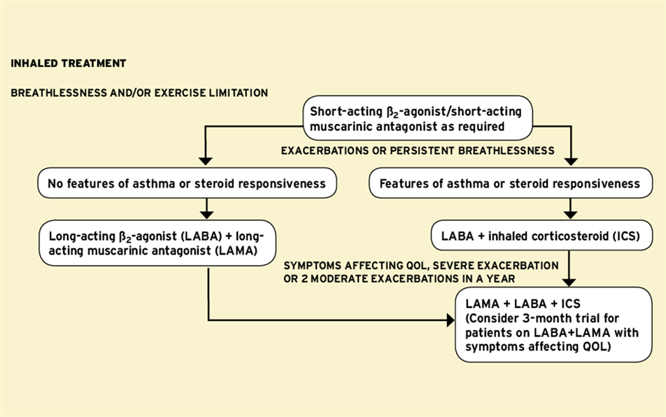 MIMS summary of NICE COPD guidance updated | MIMS online