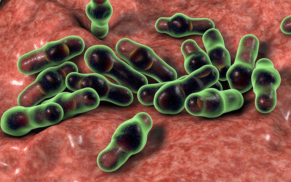 NICE approves novel treatment for C. difficile infection | MIMS online