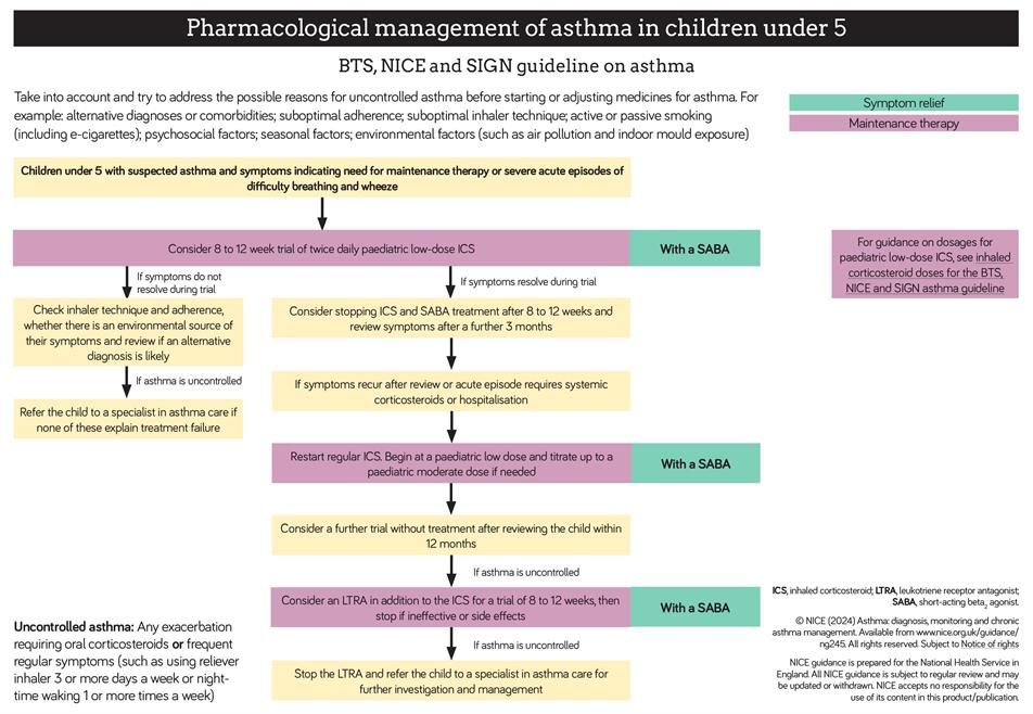 Management of Asthma in Children Under 5 Years (BTS/NICE/SIGN Guideline) | MIMS online