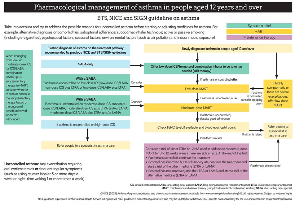 Management of Asthma in People From 12 Years (BTS/NICE/SIGN Guideline) | MIMS online