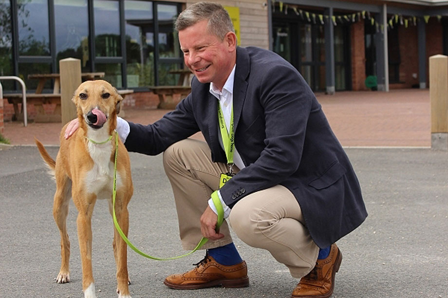 Movers: Giles Webber takes up top job at Birmingham Dogs Home | Third ...