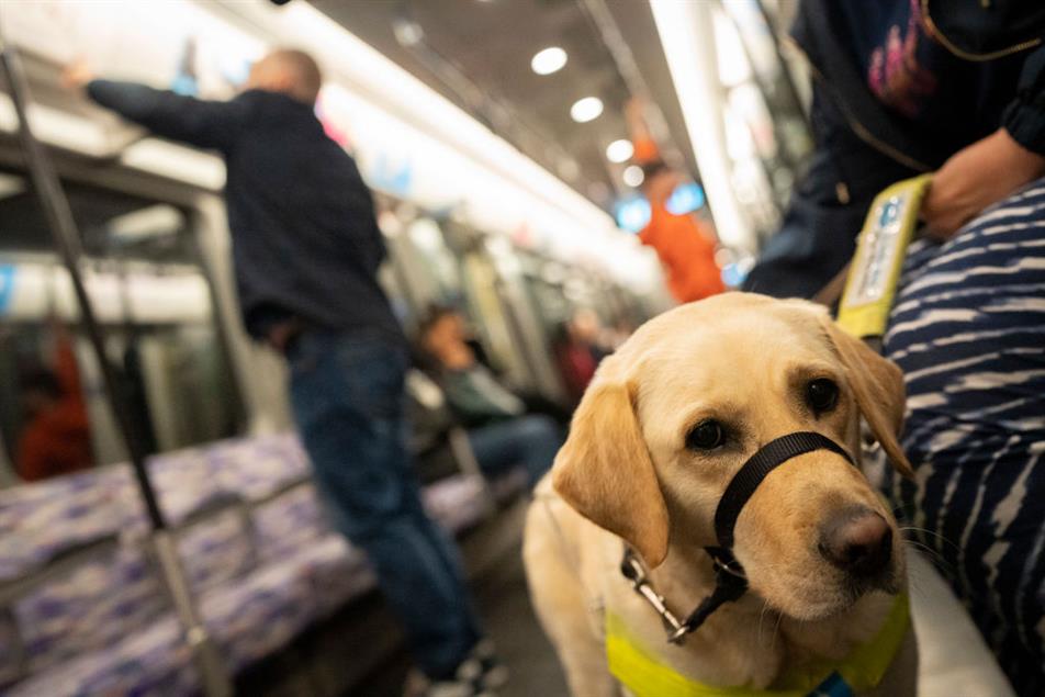 ‘Unprecedented’ legacy giving pushes Guide Dogs’ income to record high ...