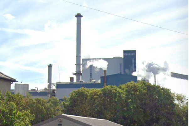 Biogas plant at Cumberland paper mill approved | ENDS Waste & Bioenergy