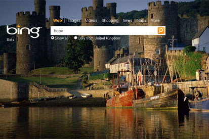 Bing ain't bad: search engine increases market share by 45 per cent