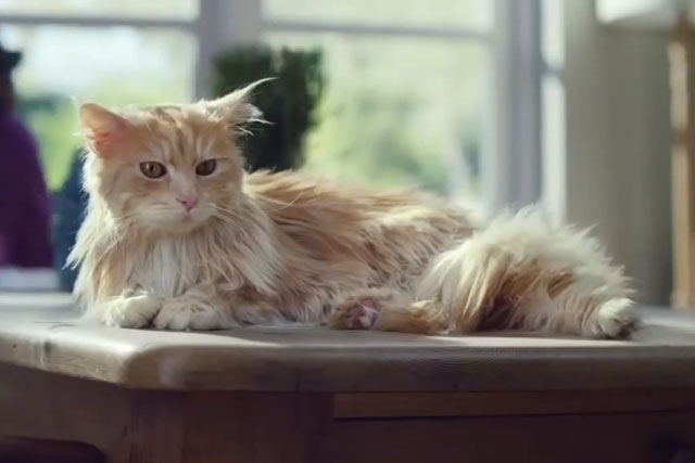 O2's "be more dog" is most-shared ad | Viral Chart - best virals, most ...