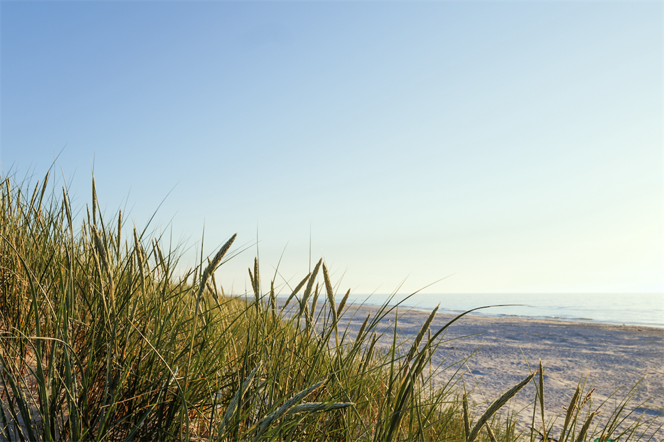 Ocean Winds gets nod for BC-Wind transmission infrastructure ...