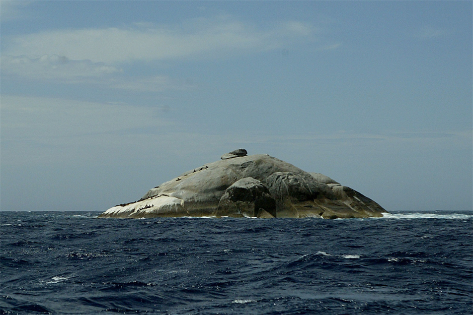 Offshore wind giants awarded licences for major projects in Australia’s ...