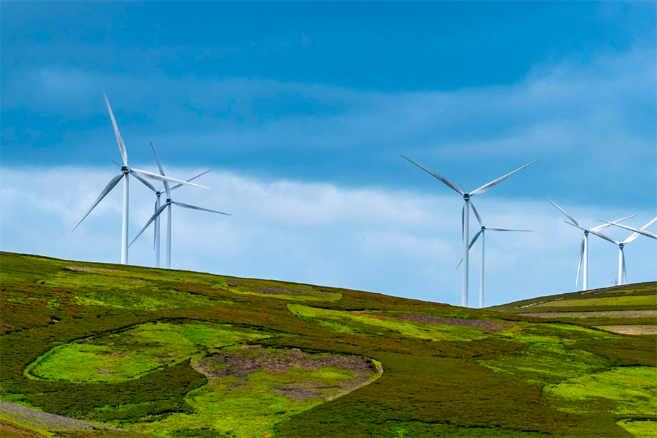 UK energy regulator Ofgem probes claim wind farm operators ...
