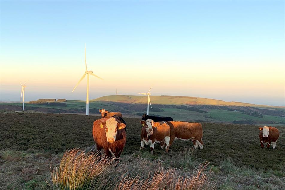 UK’s fourth largest onshore wind project on ice amid spiraling costs ...