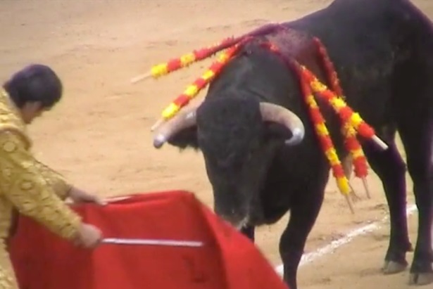 PETA to target bull run tourists with Grim Reaper protest | PR Week