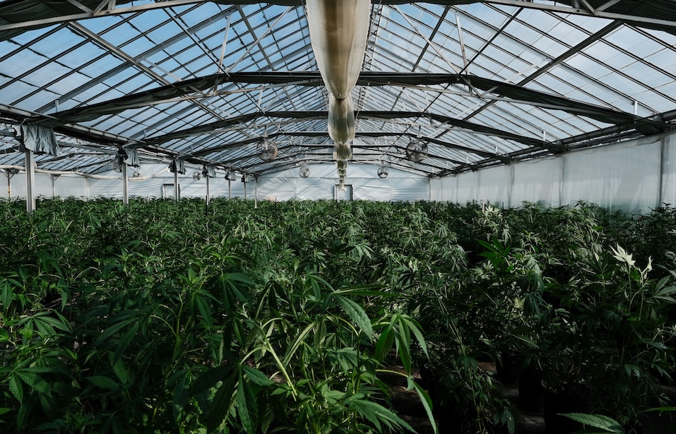 California Department of Cannabis Control seeks PR firm | PR Week