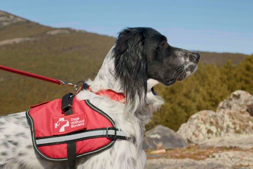 Cannes 2023: U.S. Glass and Sustainable Development Goals winners | PR Week