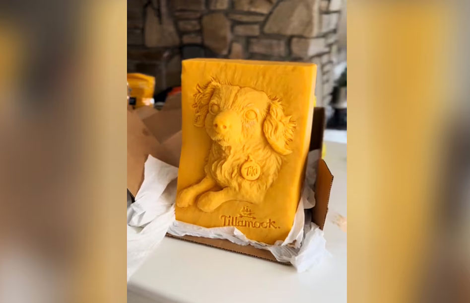Why Tillamook created a cheese sculpture of a dog | PR Week