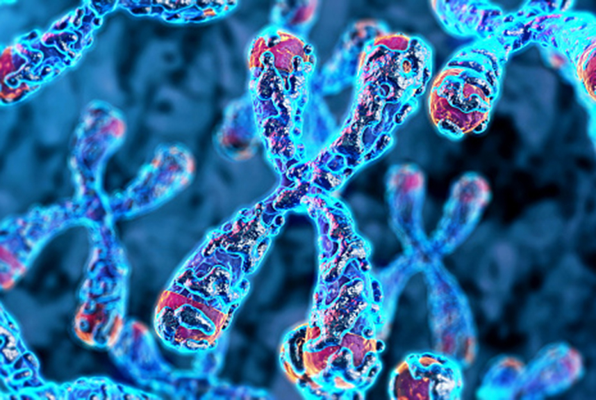 Recognising X-linked hypophosphataemia – what do primary care ...