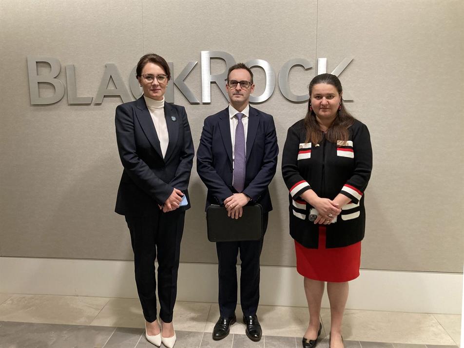 Blackrock looks to corral investment for Ukraine