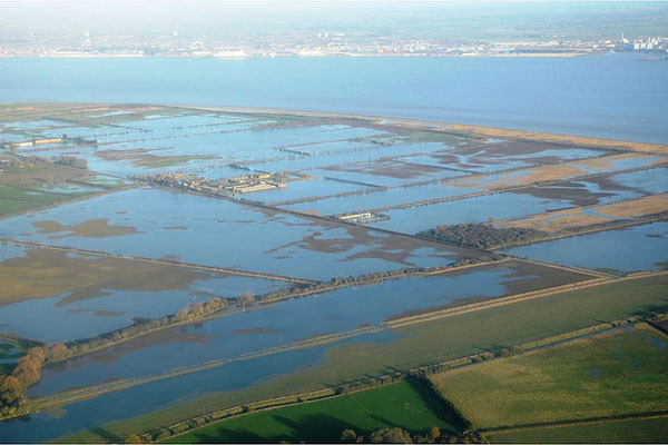 In brief: Plans for £42m Hull flood defence submitted for approval ...