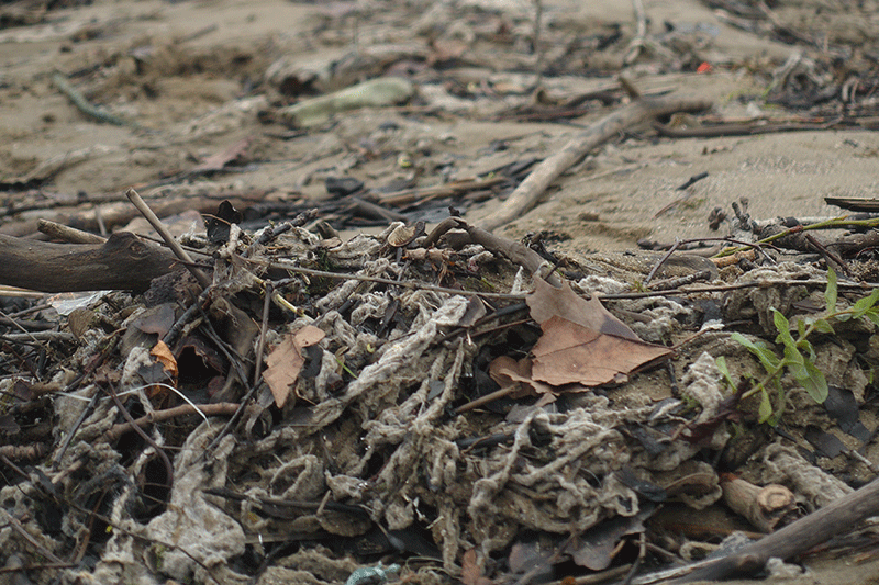 Five things you need to know about wet wipe reefs