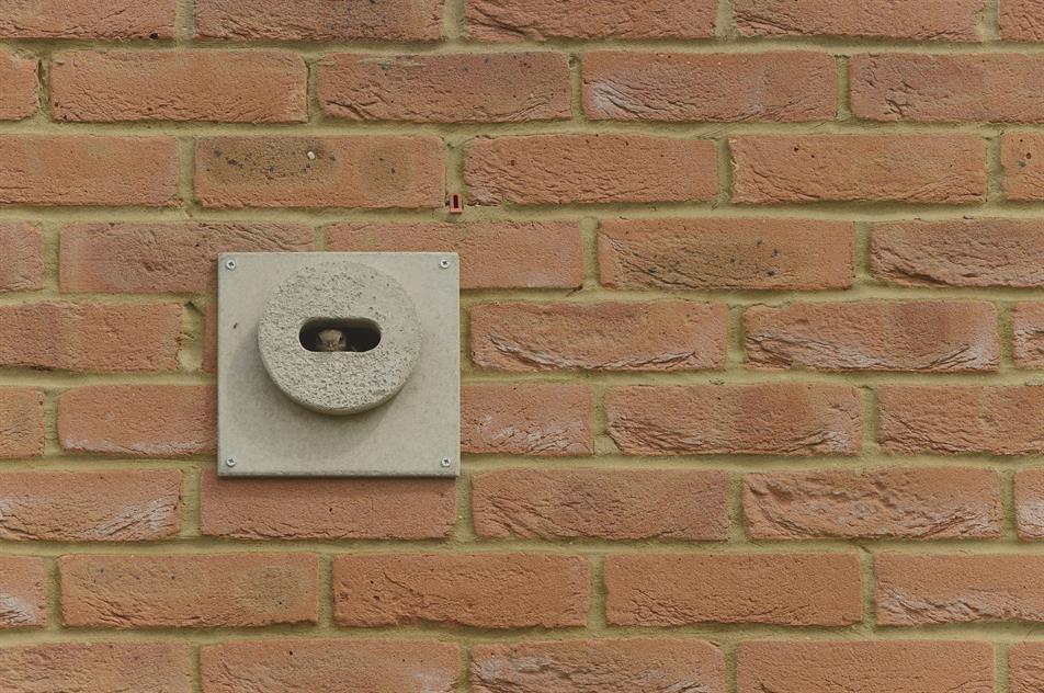 Ministers mooting requirement for ‘swift bricks’ in new buildings via ...