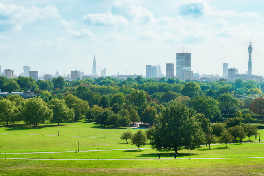 Natural England publishes new framework setting out voluntary standards ...