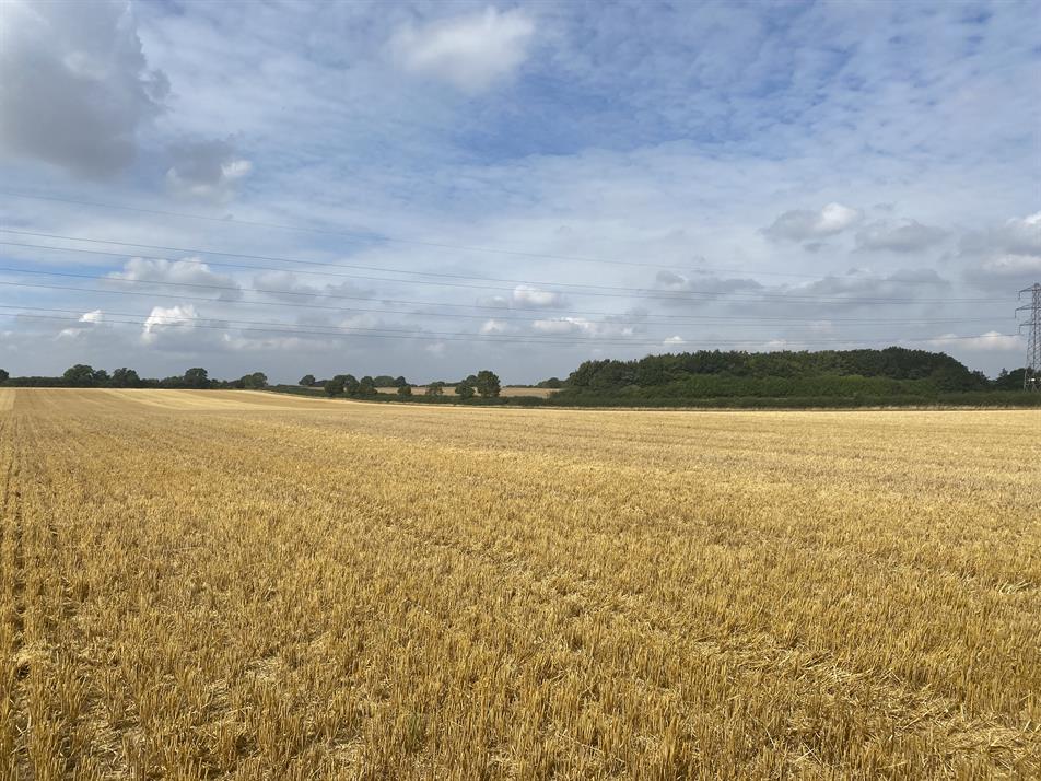 Inspector approves 94-ha solar farm despite loss of high-grade farmland ...