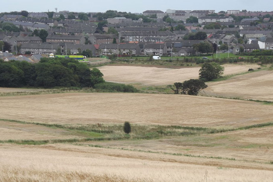 NPPF green belt changes ‘will pull more land into grey belt designation ...