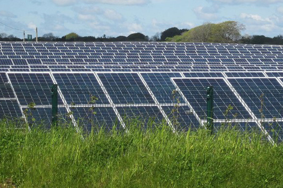 Inspector approves 38-hectare Essex green belt solar farm | Planning ...