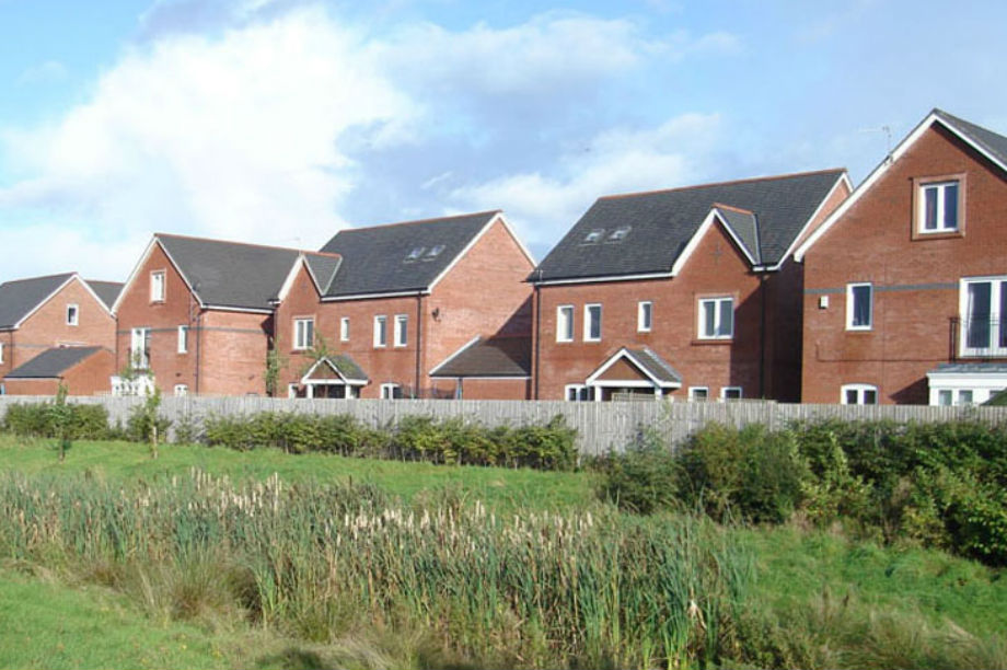 Advice: Promoting biodiversity in new housing development | Placemaking ...