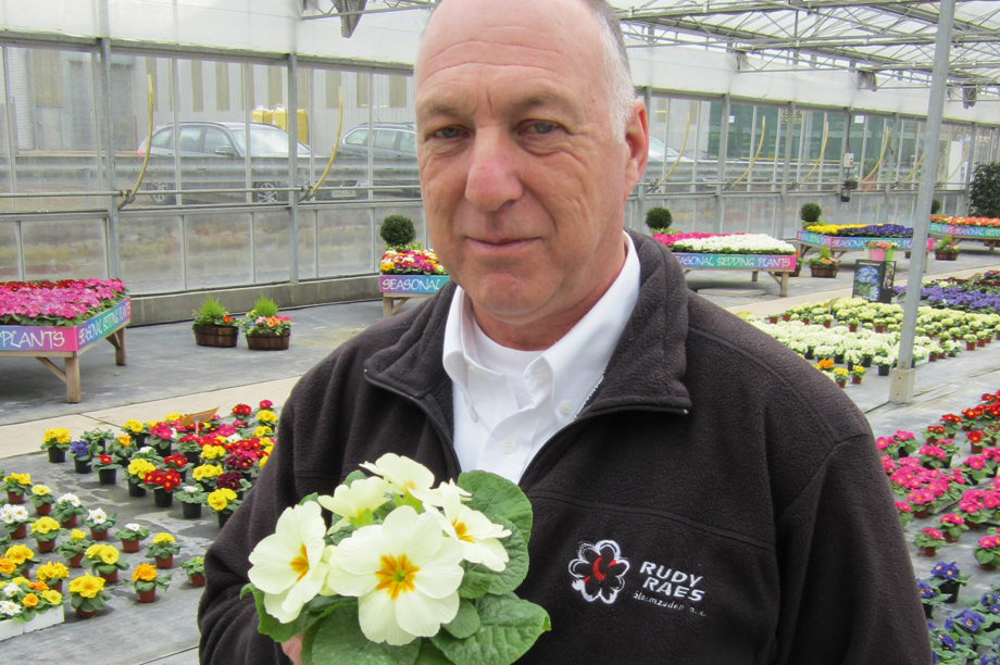 Range of cultivars including Rambo series showcased at Rudy Raes ...