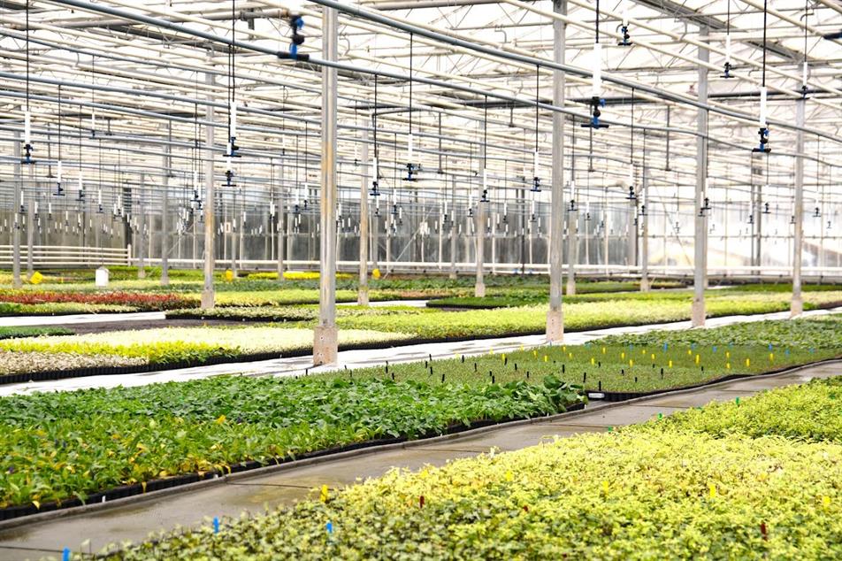 Newey opens doors to new propagation unit | HortWeek