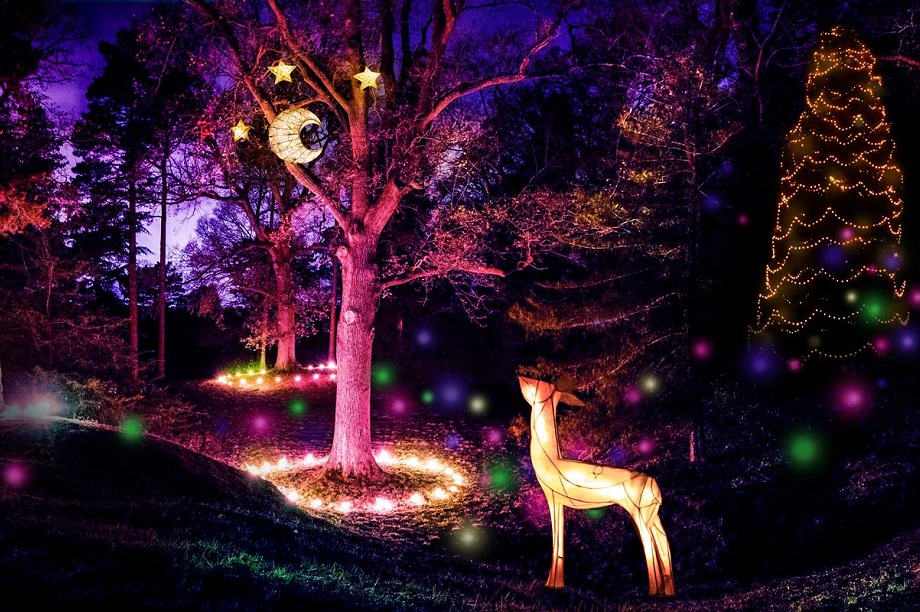 Wakehurst announces dates and theme for Glow Wild 2022 | HortWeek